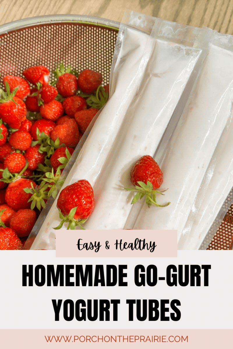 DIY Easy and Healthy Homemade Yogurt Go-Gurt Tubes - Porch on the Prairie