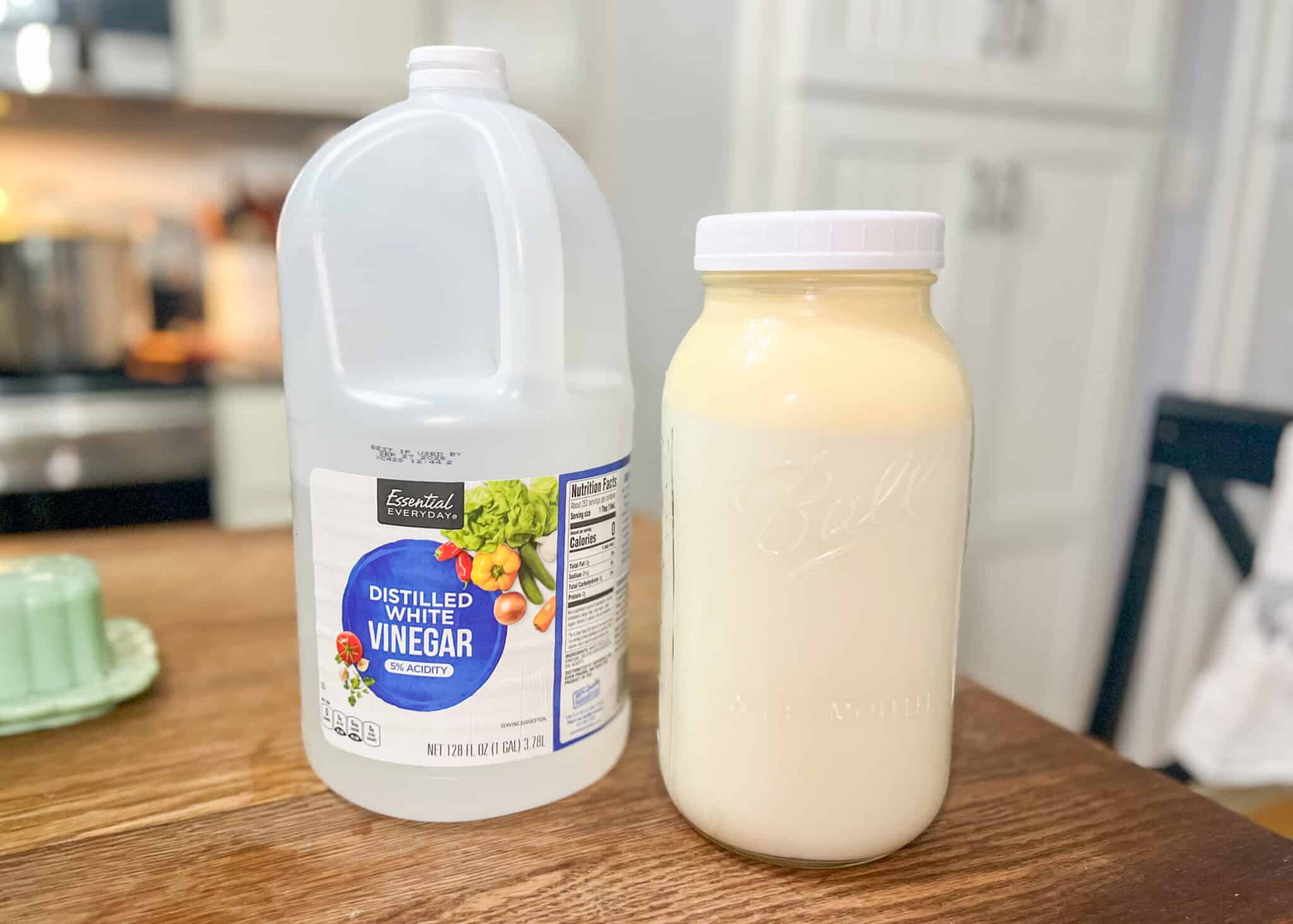 2 Ingredient Homemade Mozzarella Cheese Recipe - Porch on the Prairie