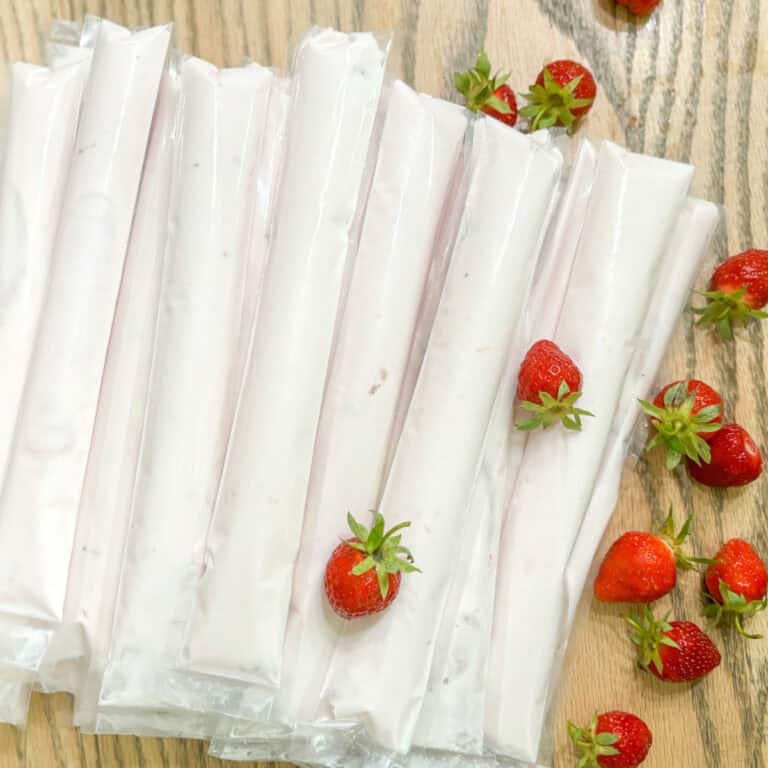 DIY Easy and Healthy Homemade Yogurt Go-Gurt Tubes - Porch on the Prairie