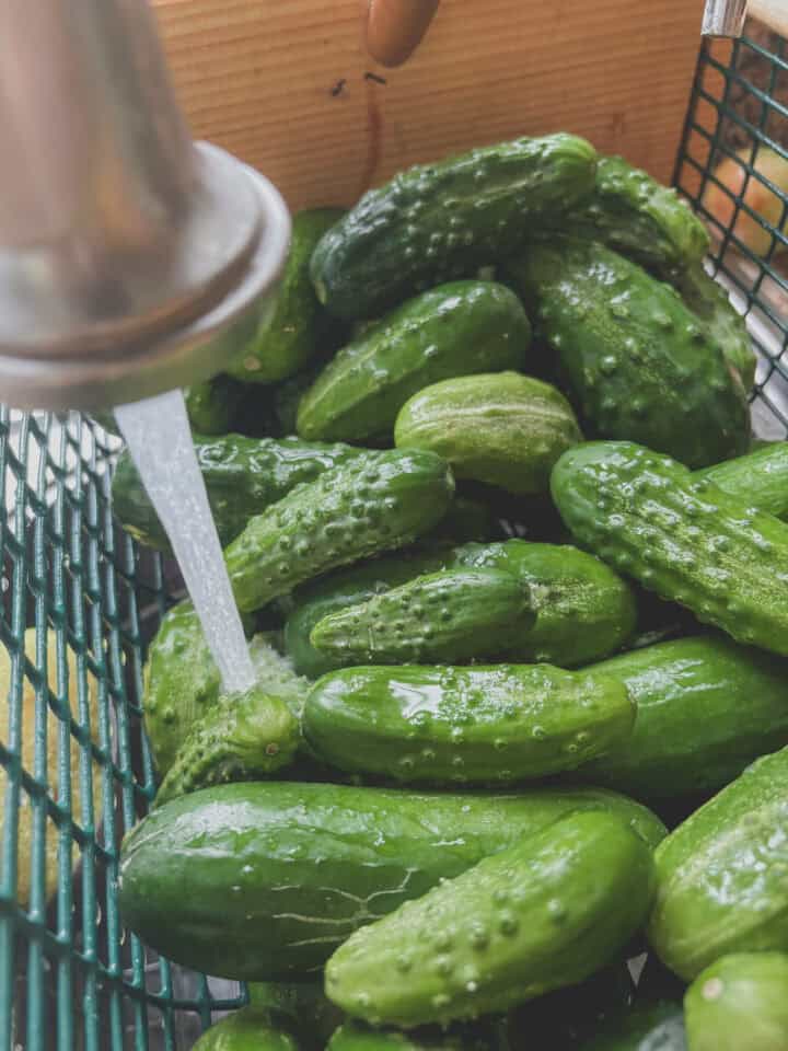 Canning the Best Homemade Pickles for Beginners - Porch on the Prairie