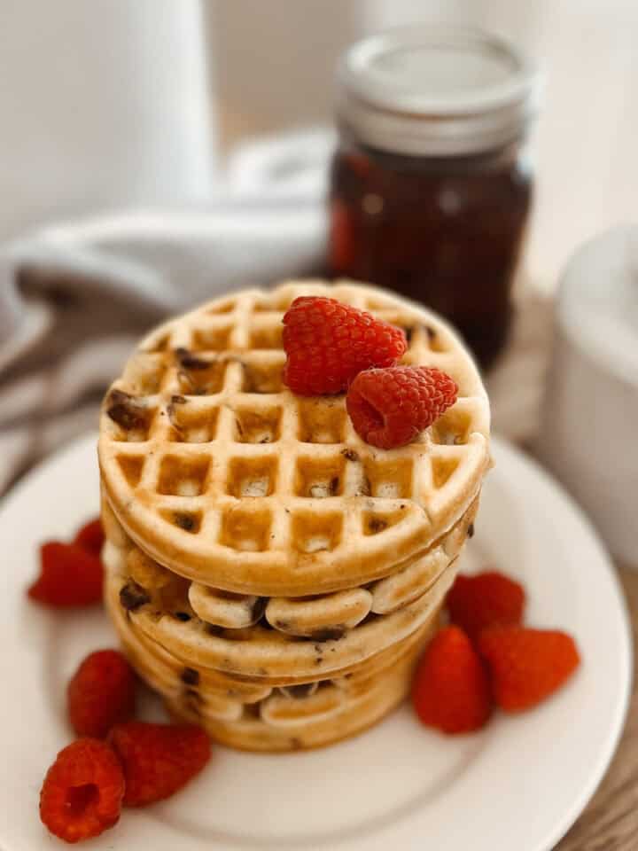 How to Render Beef Suet to Make Tallow (step-by-step) - Porch on the ...