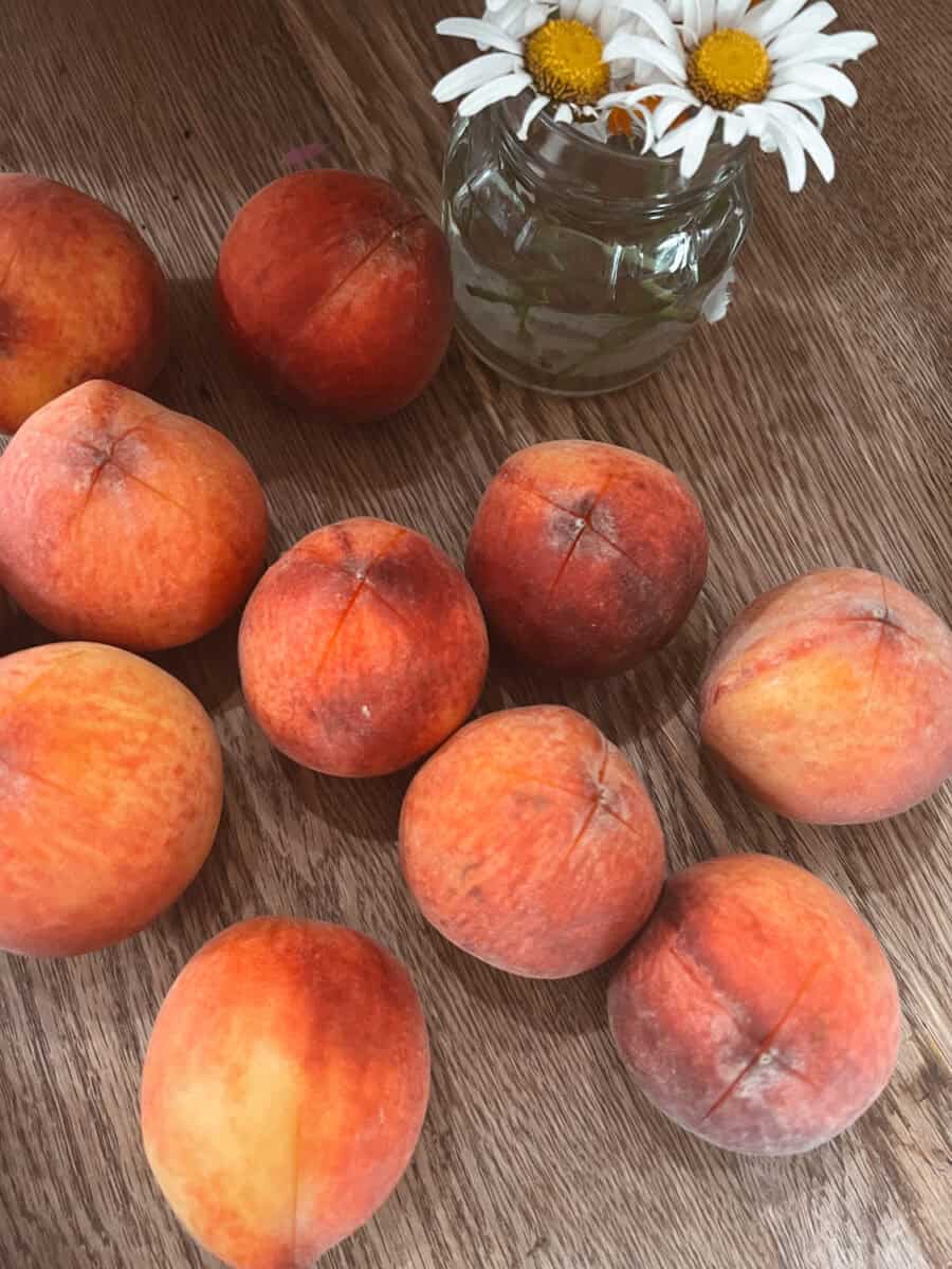 Simple Water Bath Canning Peaches for Beginners - Porch on the Prairie